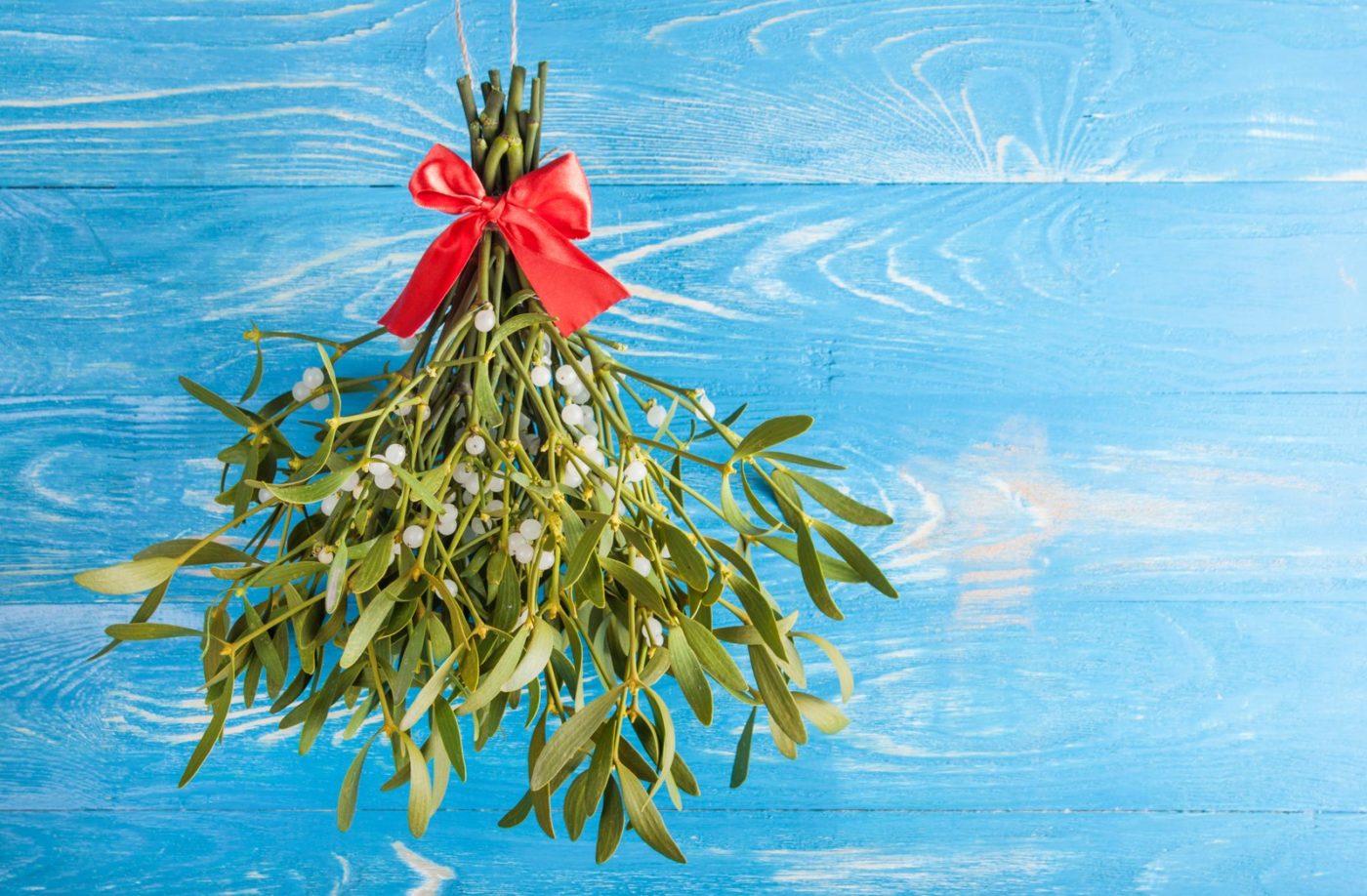 Is mistletoe really poisonous? - FindersFree.com
