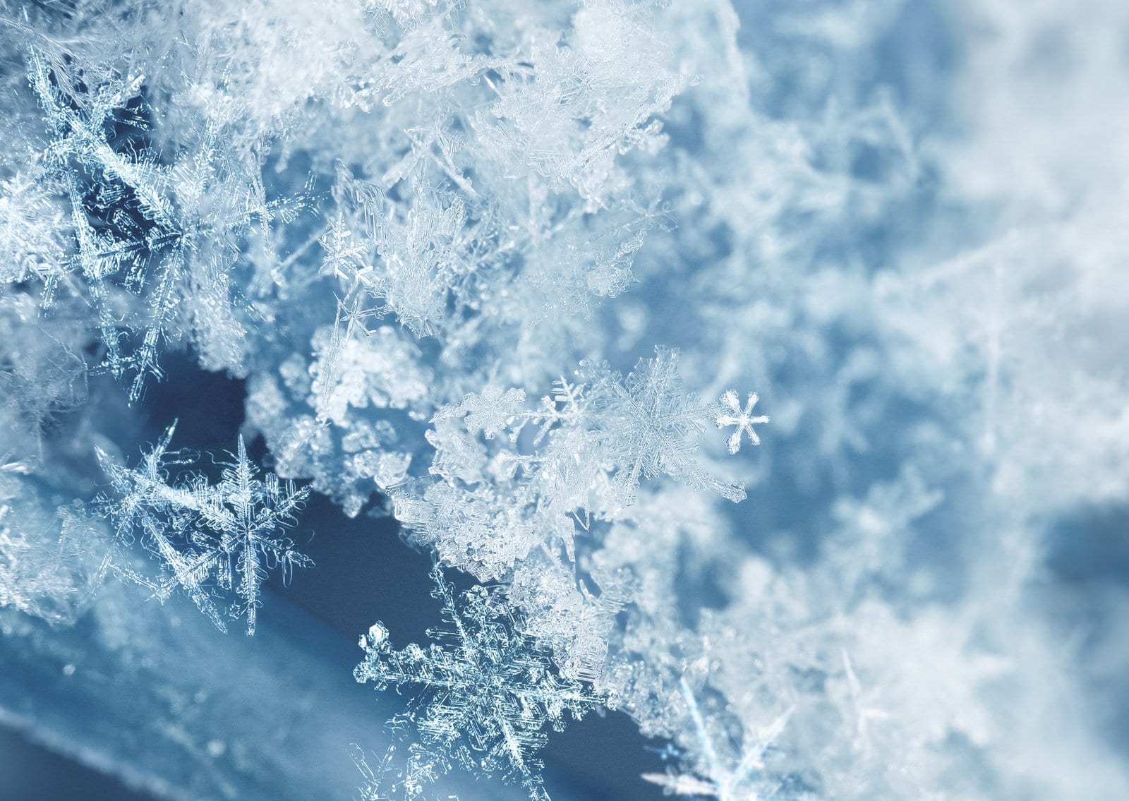 Is it true that no two snowflakes are alike? - FindersFree.com